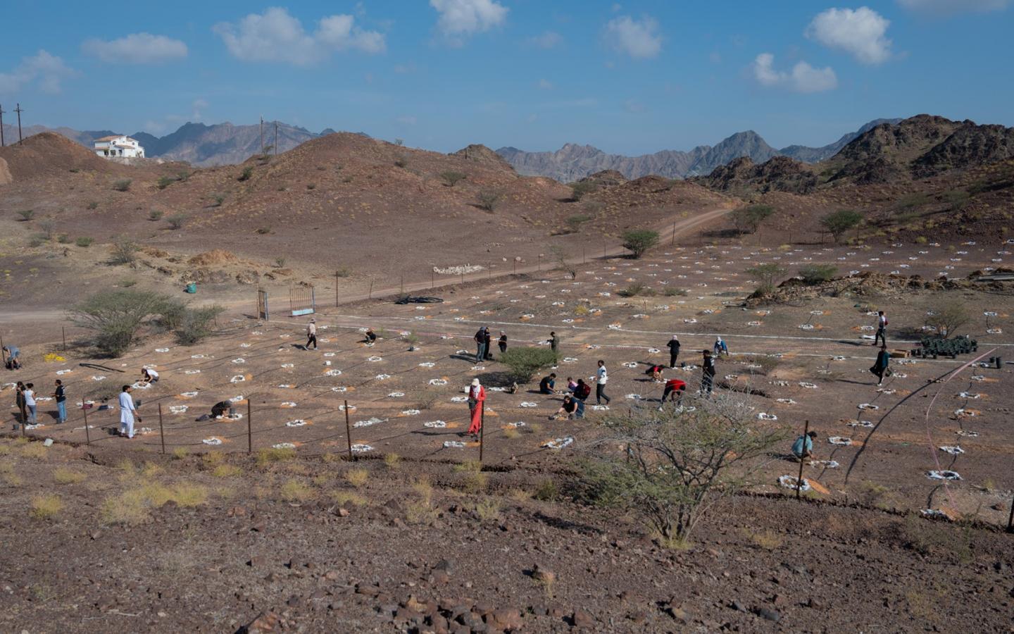 Native Plants showcase strong potential for Sustainable Agriculture in ...