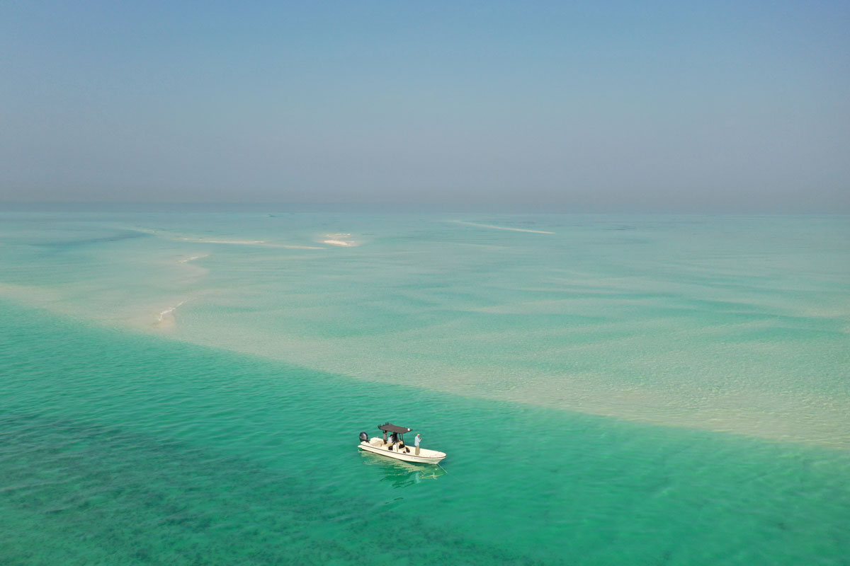 Nature-based Solutions are key to reviving Oceans and Coastal ...