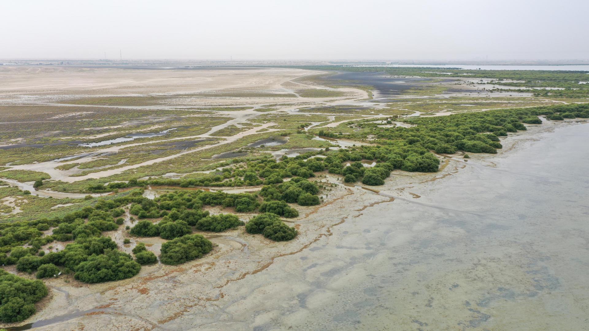 Nature-based Solutions | Emirates Nature-WWF