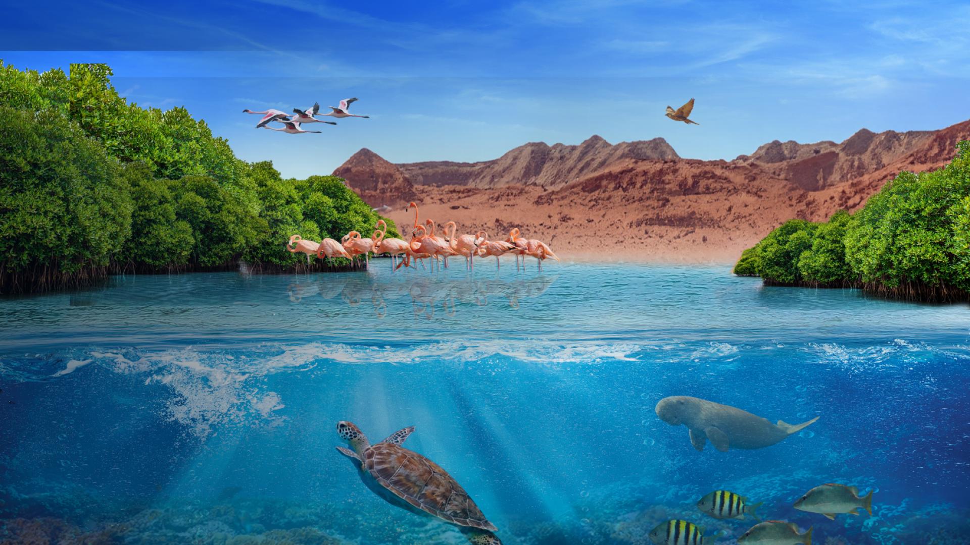 Protect UAES Natural Wonders | Emirates Nature-WWF