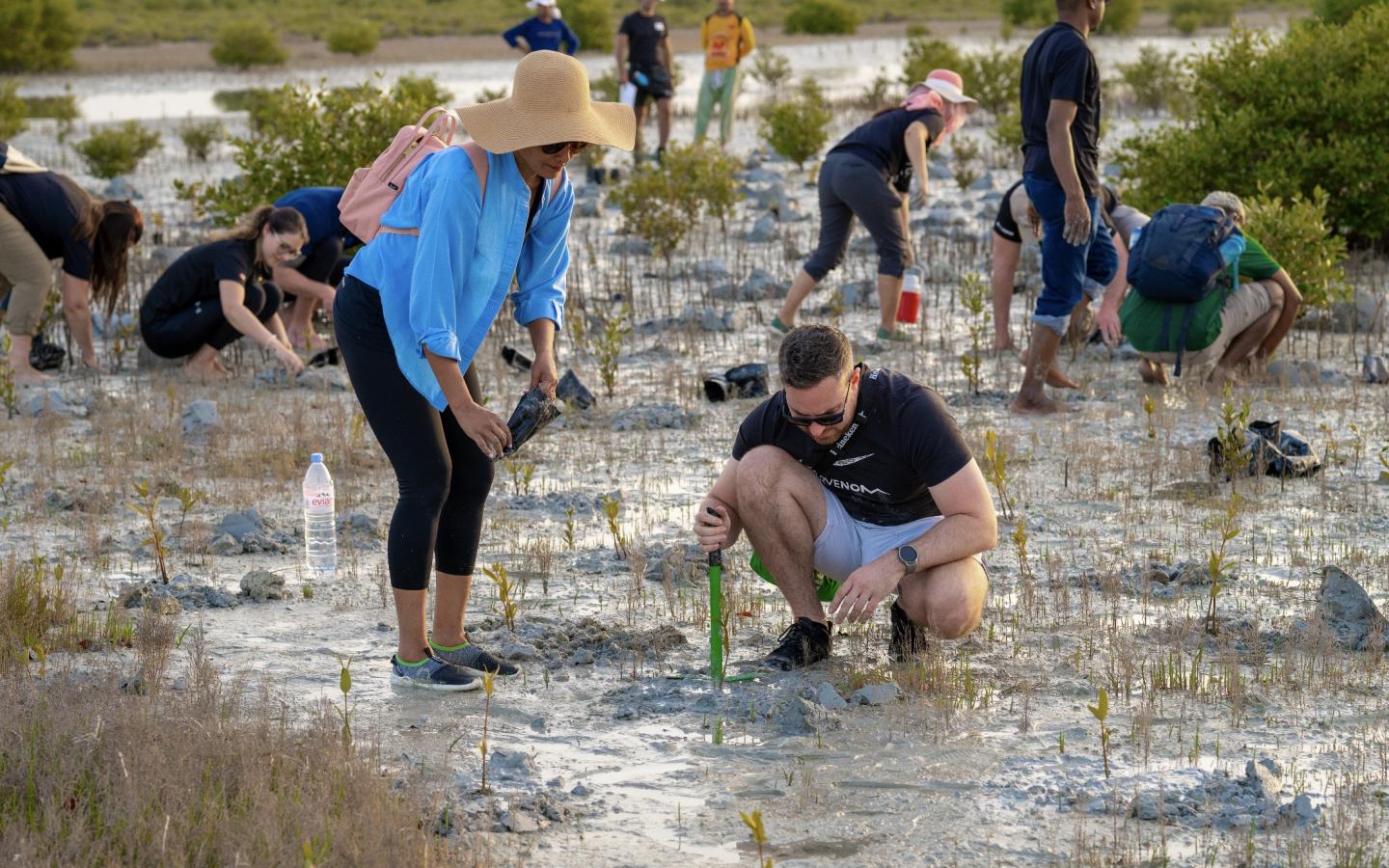 World Environment Day 2024: In conversation with Emirates Nature-WWF ...